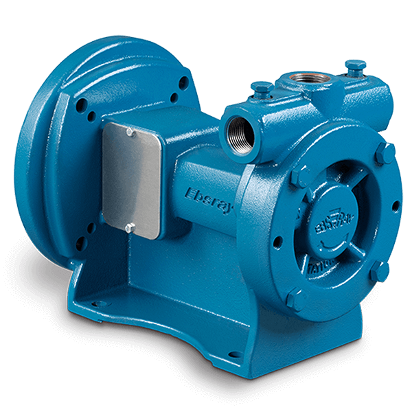 RC20 Regenerative Turbine Pumps | Blackmer