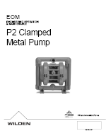 25 mm (1-) Pro-Flo Series Saniflo FDA Clamped Metal Pump (P2) | Wilden