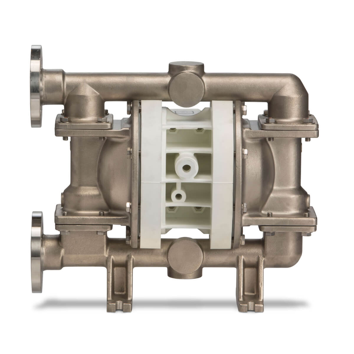 25 mm (1-) Pro-Flo Series Bolted Metal Pump (P220/P230) | Wilden